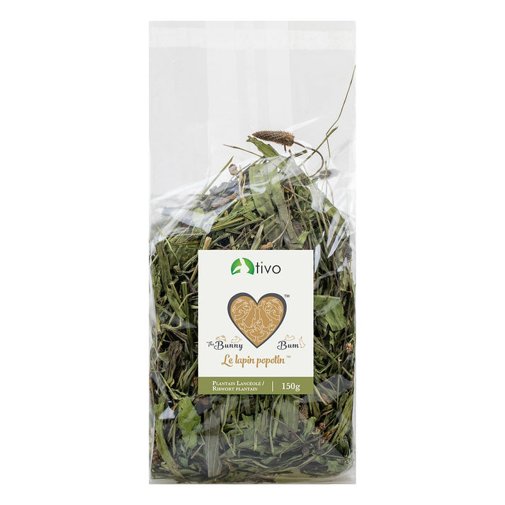 Major Plantain Herb - High Fiber Diet, Digestive Support for Pets