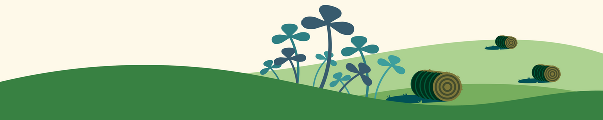 How Fast Can Rabbits Run? Discover Their Speed