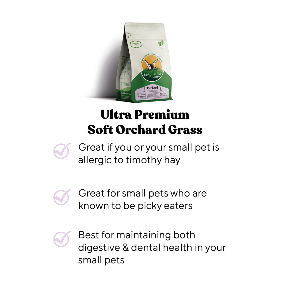 Ultra Premium Soft Orchard Grass – Rabbit Hole Hay
