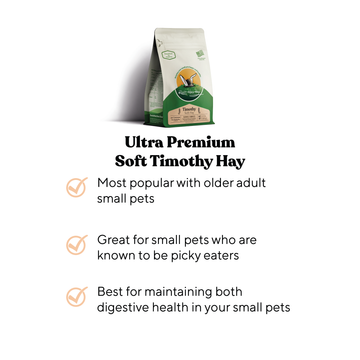 The Best Rabbit & Small Pet Hay – Rabbit Hole Hay