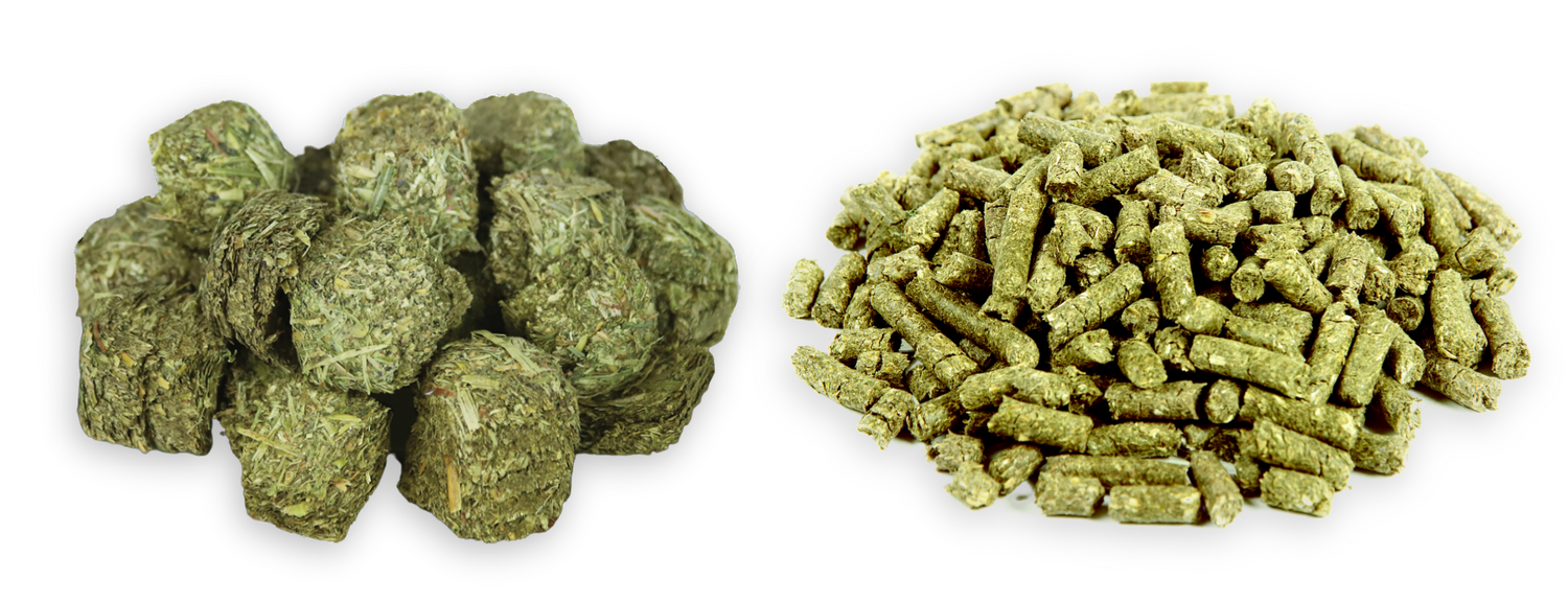 Hay Cubes & Pellets